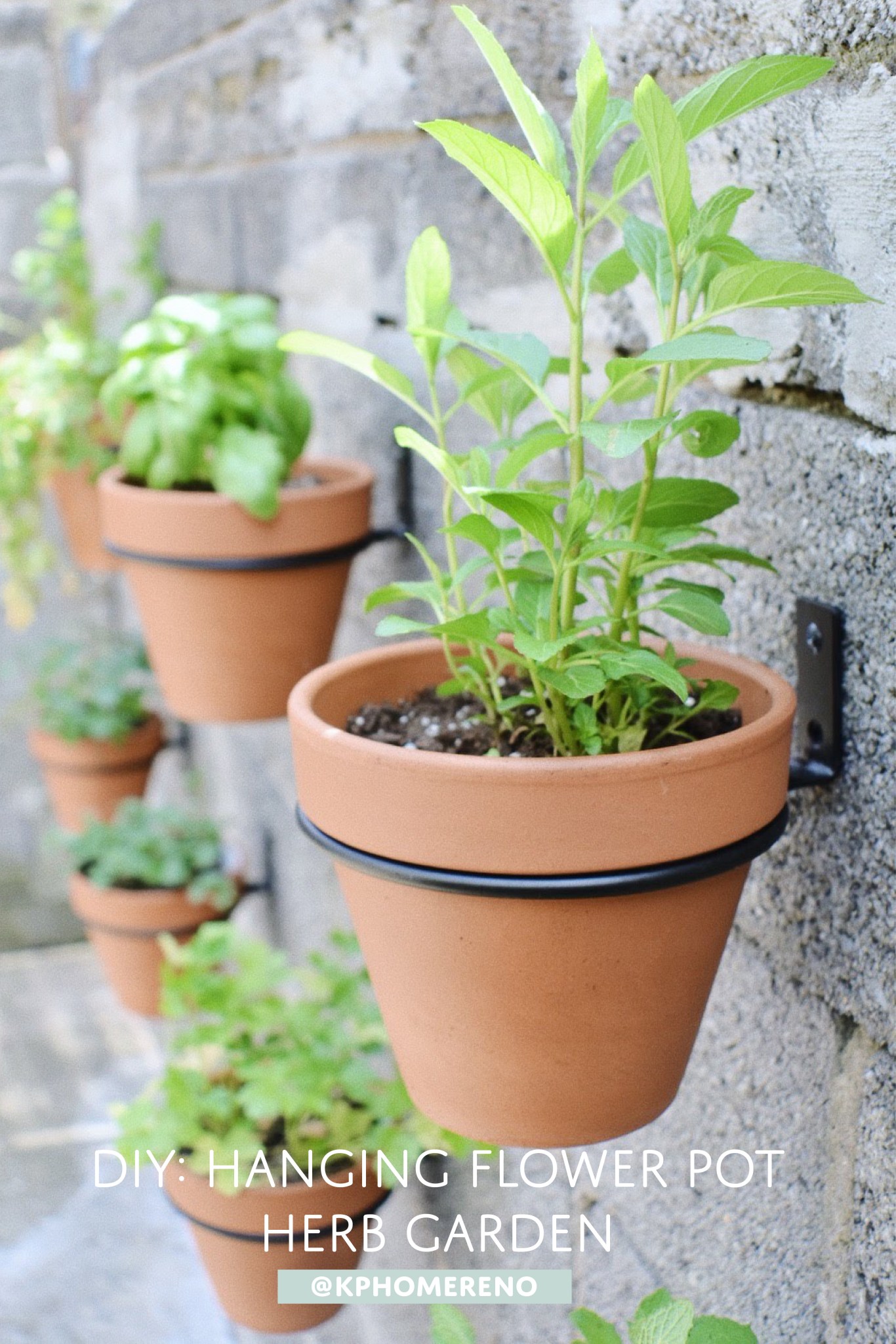 How to Make a Hanging Pot Herb Garden – KP HOME RENO
